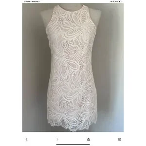 Babaton | Dresses | Babaton White Lace Over Pink Halter Mini Shift ...